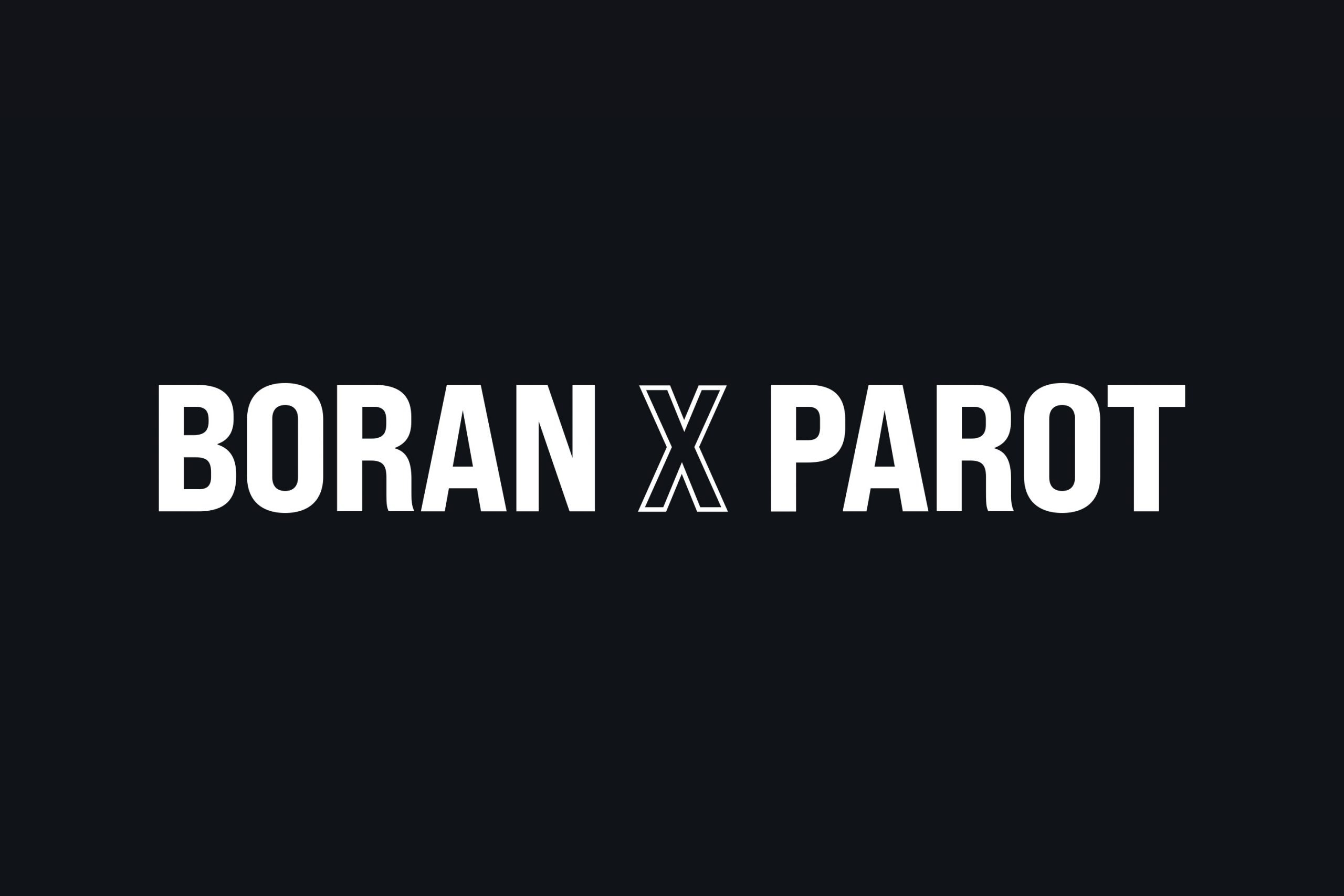 Agentur - BORAN x PAROT®